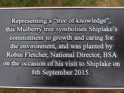 Tree of Knowledge Planted | News | Shiplake College